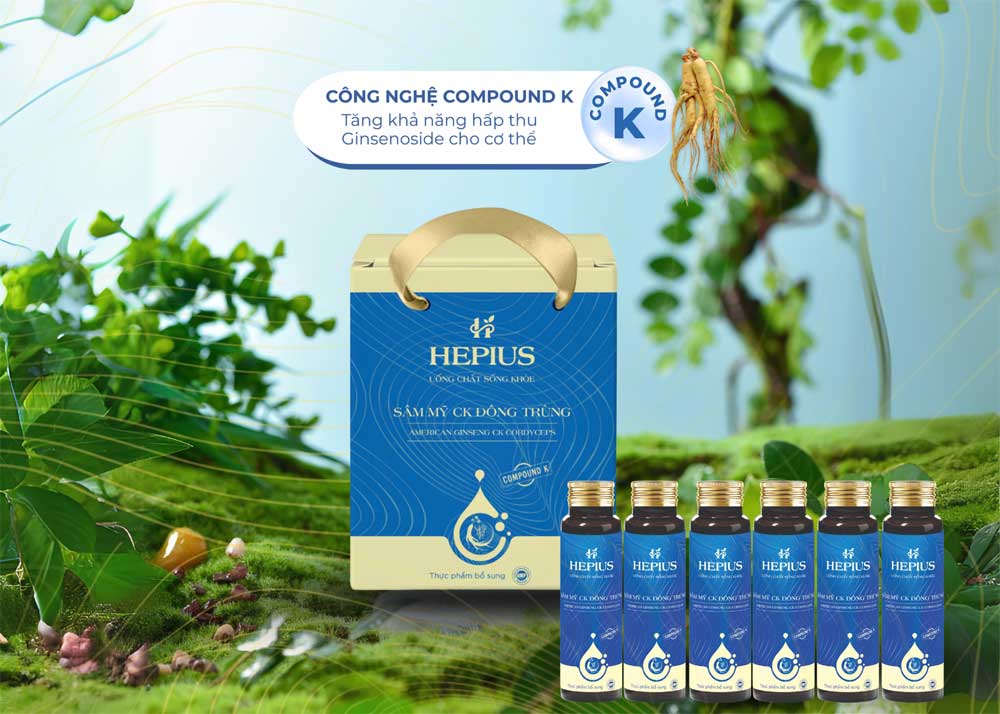 Hepius American Ginseng CK & Cordyceps - Convenient Box of 6 - Hepius