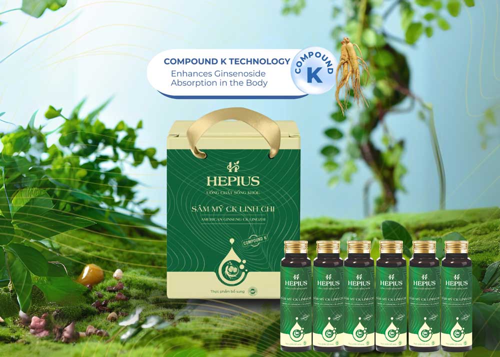 Hepius American Ginseng CK & Lingzhi - Convenient Box of 6 - Hepius